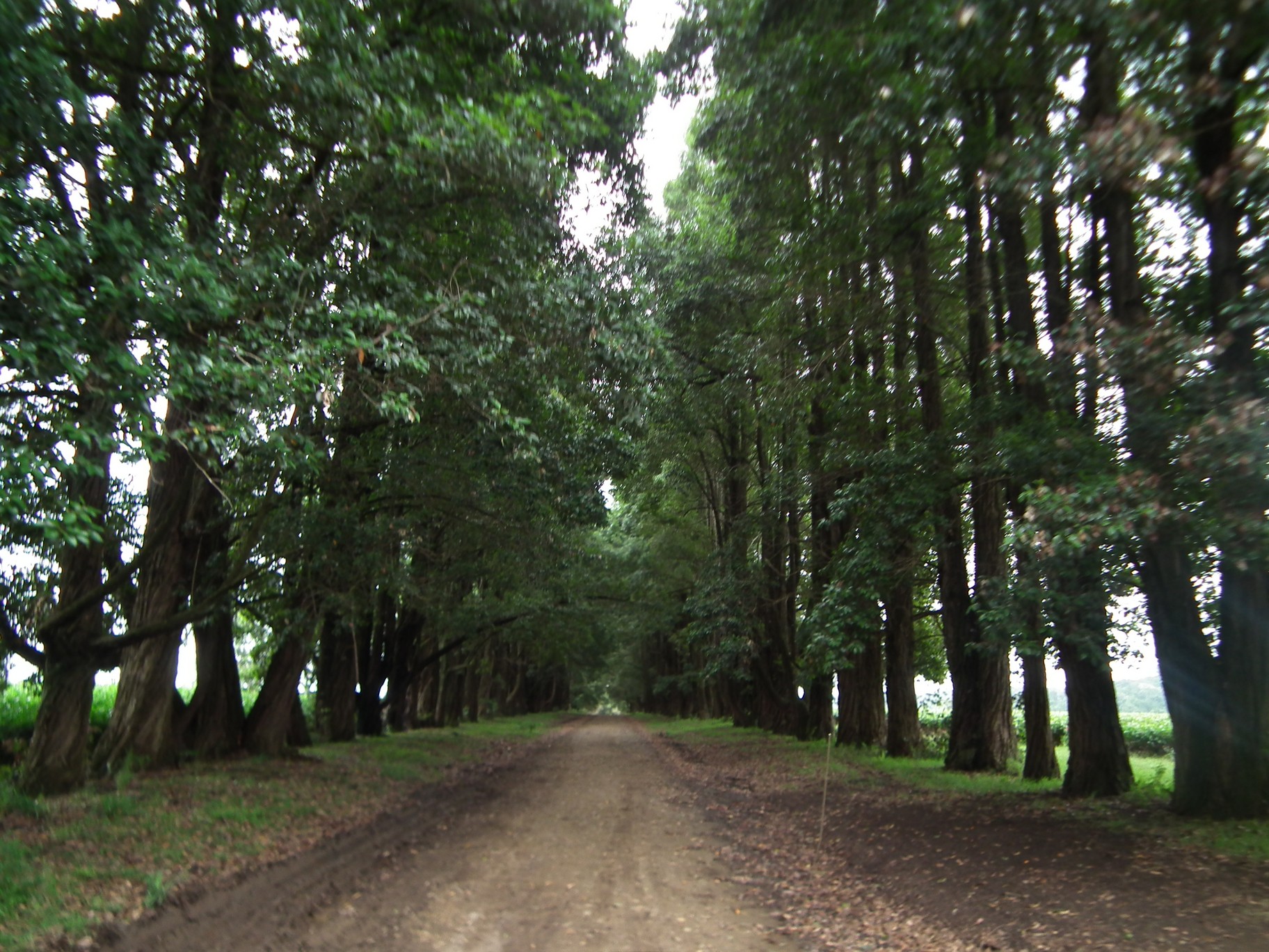 Magwa Scenery | Hang Out Labs